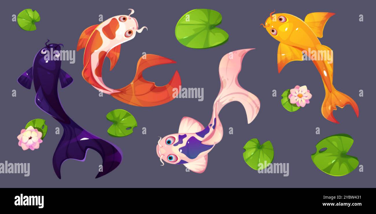 Chinese koi carp fish for pond water top view. Japan goldfish and ...