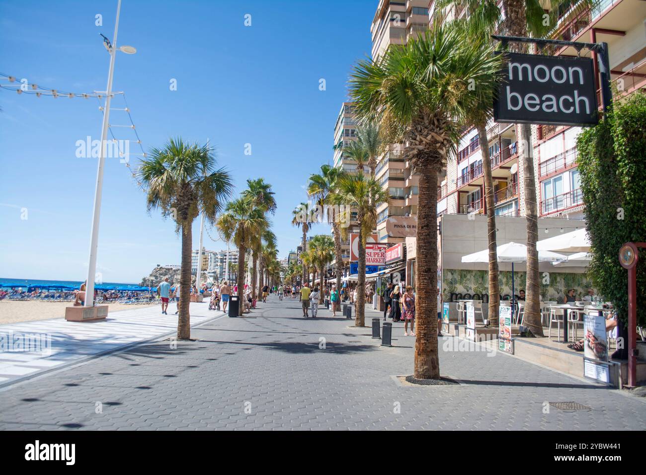 Palm tree lined promenade on Levante beach in Benidorm on the Costa ...