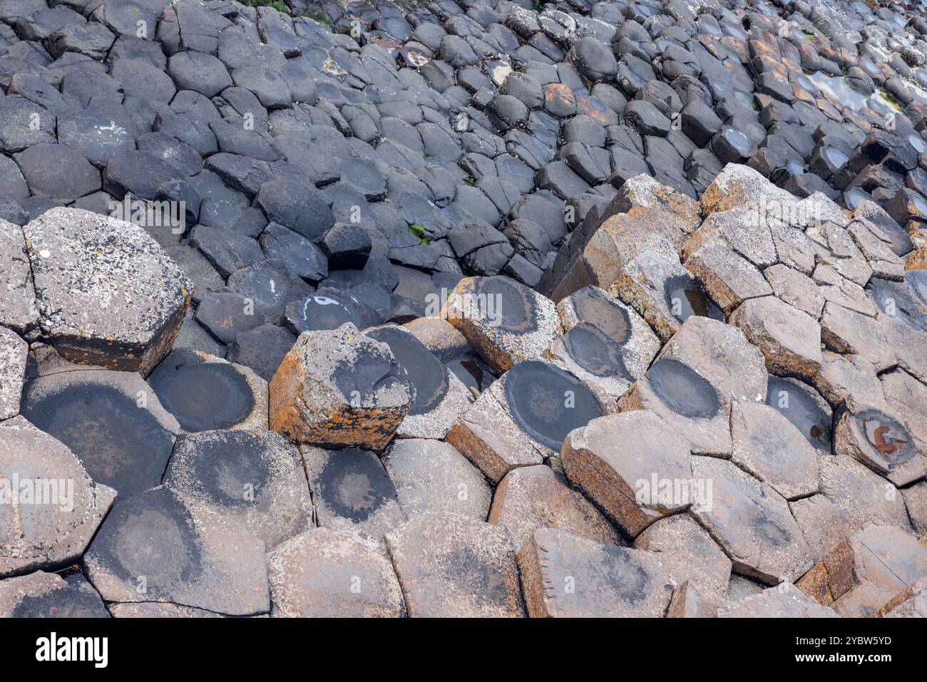 Top-down view of the hexagonal basalt columns at Giant's Causeway. The stones are marked with ...