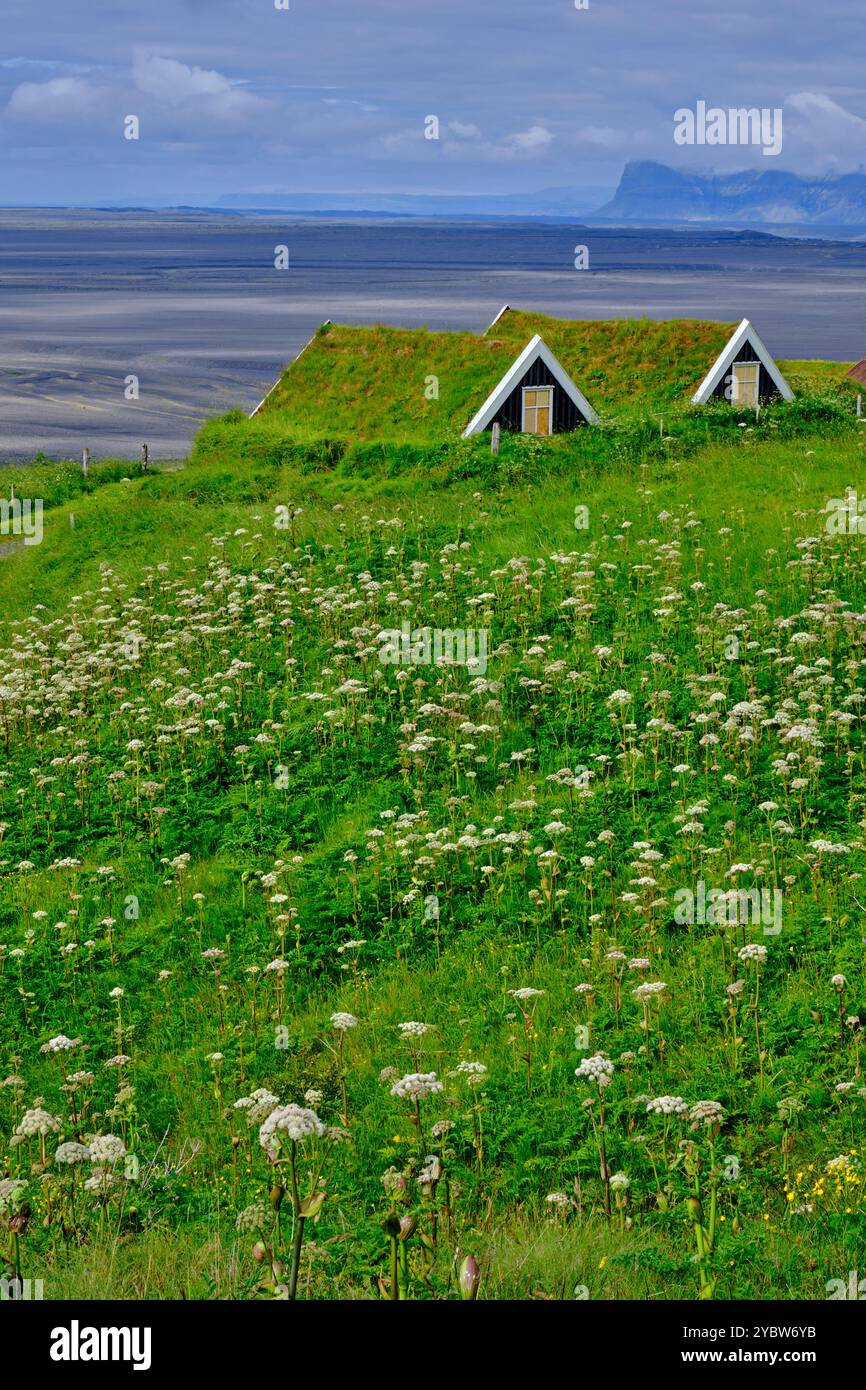 Turf farmhouse iceland hi-res stock photography and images - Alamy