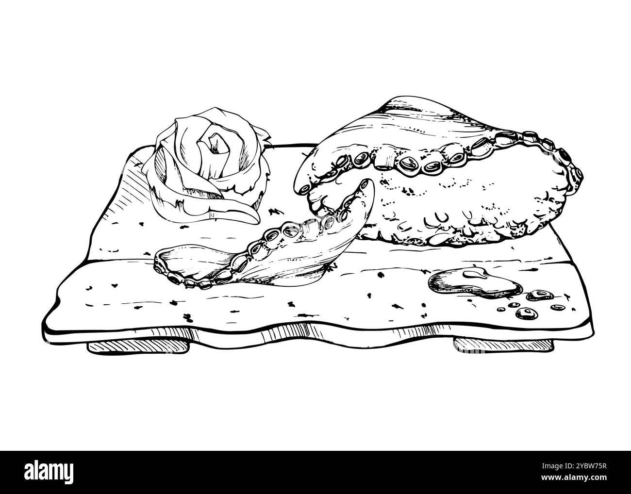 Japanese food nigiri sushi set on ceramic plate, raw fish octopus tako ...