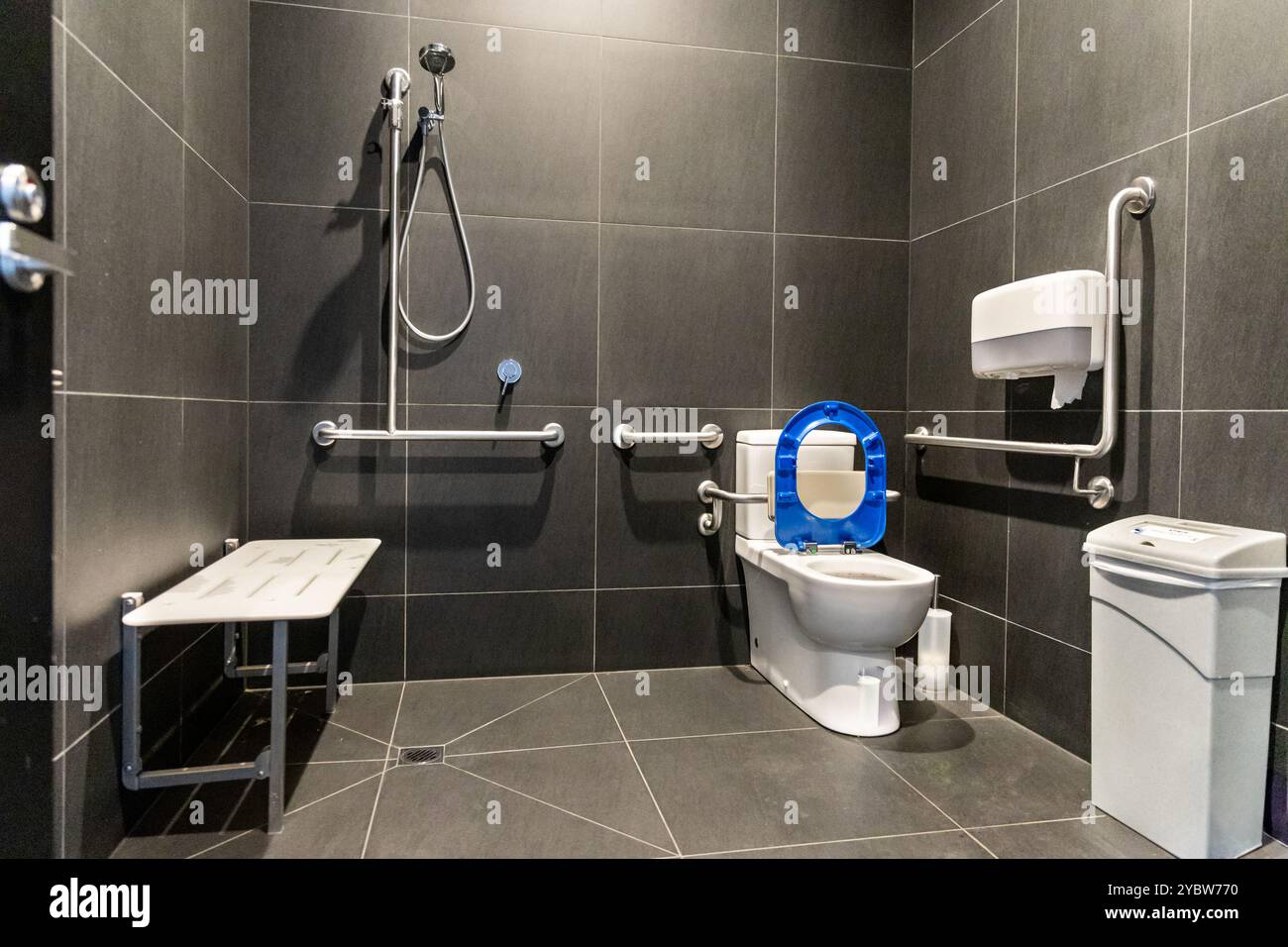 Disability friendly generic restroom sanitary with hand rails and bars ...