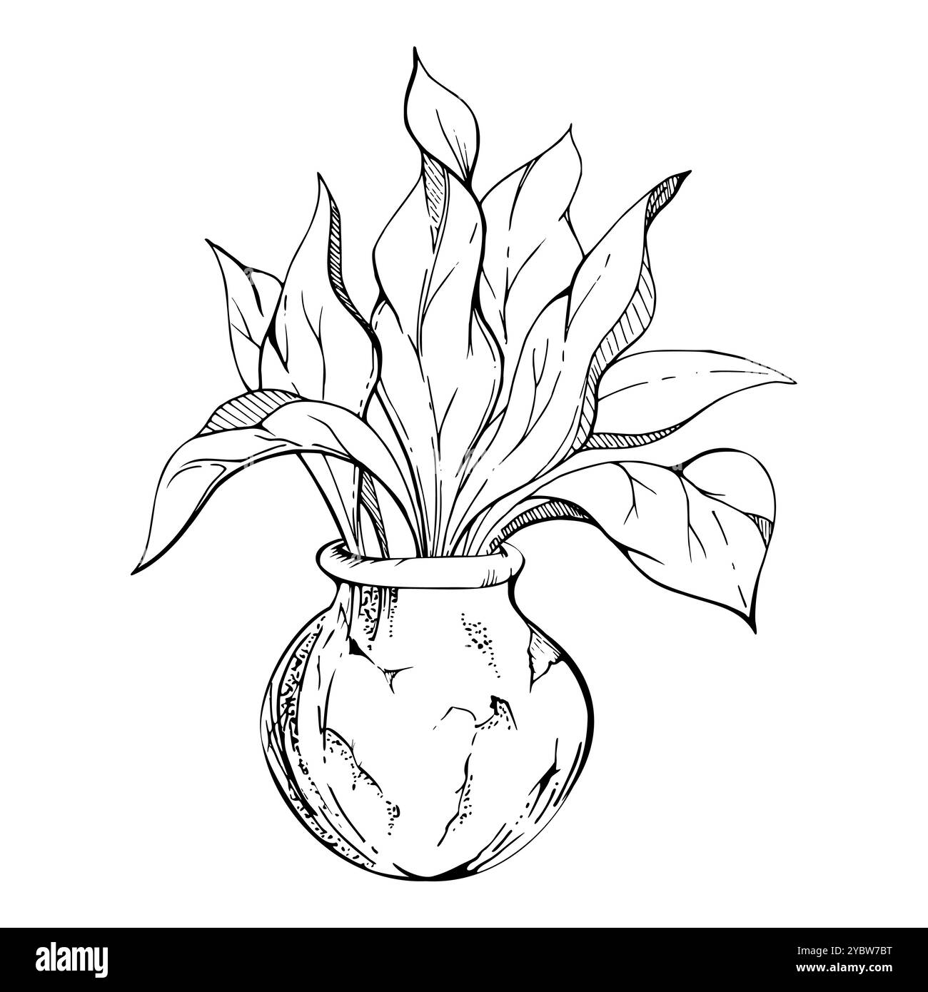 Nature tropical exotic house plant leaves in ceramic terracotta pot ...