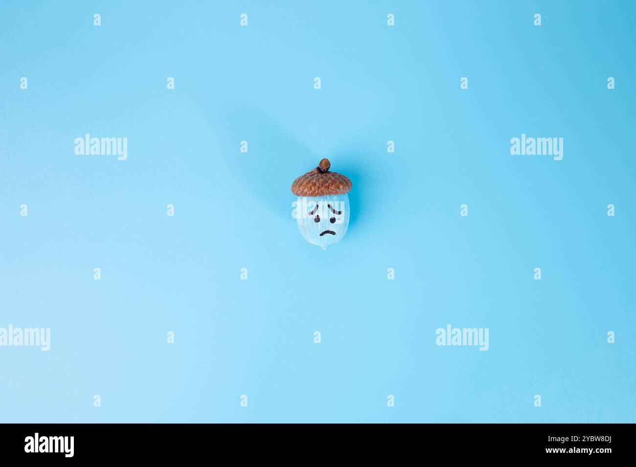 acorn with a painted face on a light blue background. sad facial ...