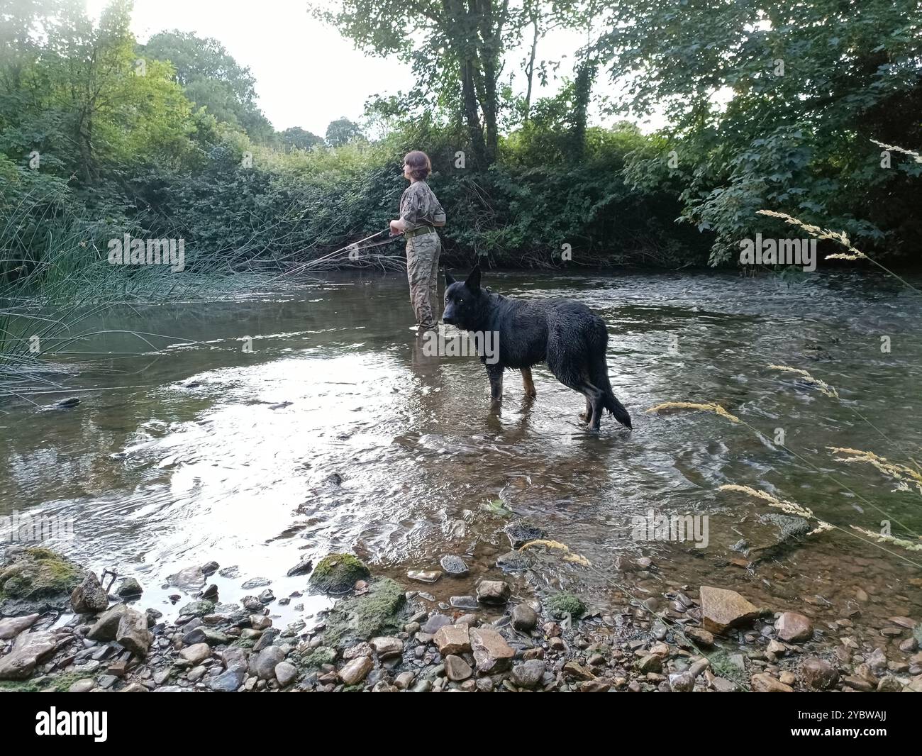 Fishing with a German shepherd Stock Photo - Alamy