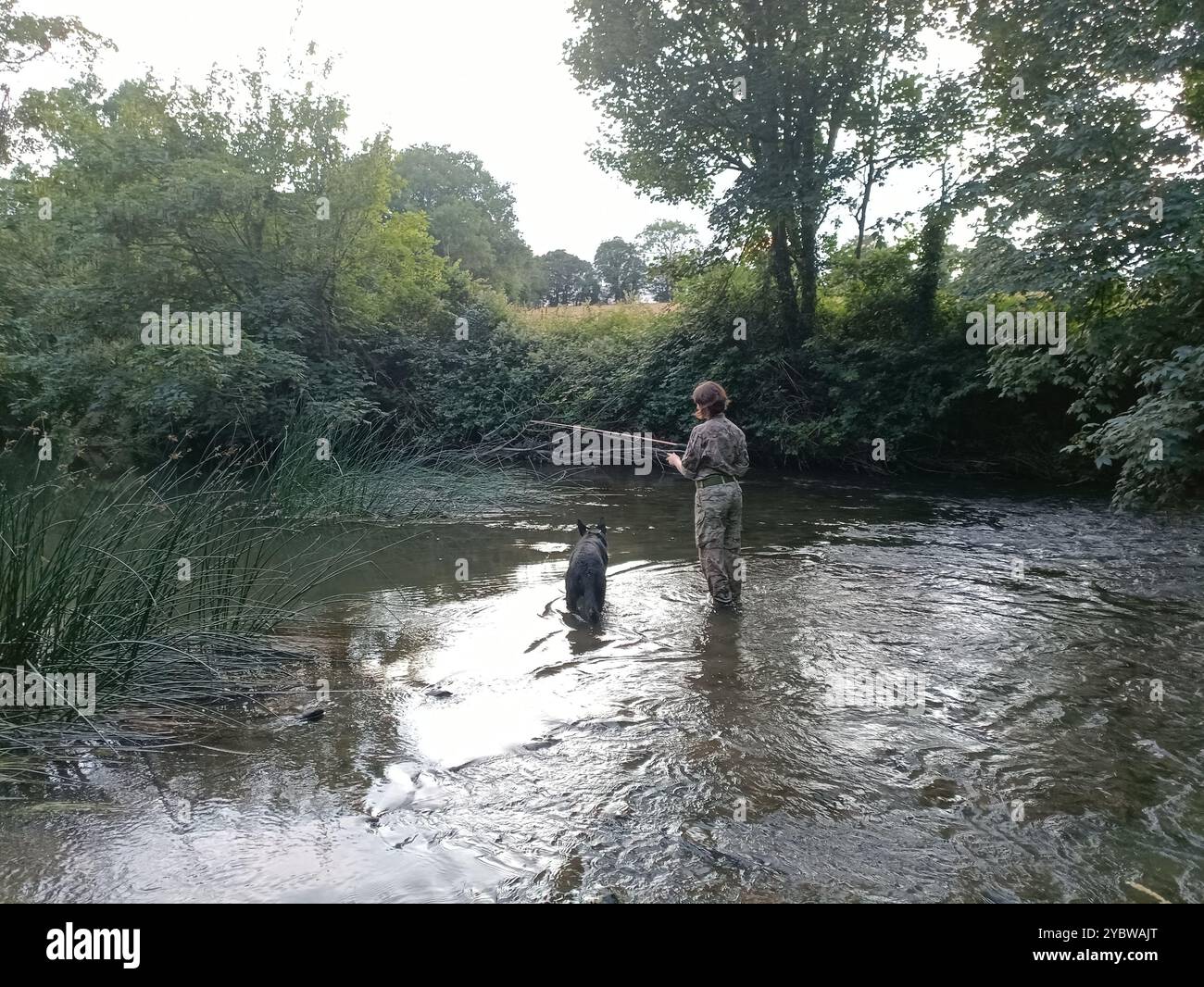 Fishing with a German shepherd Stock Photo - Alamy