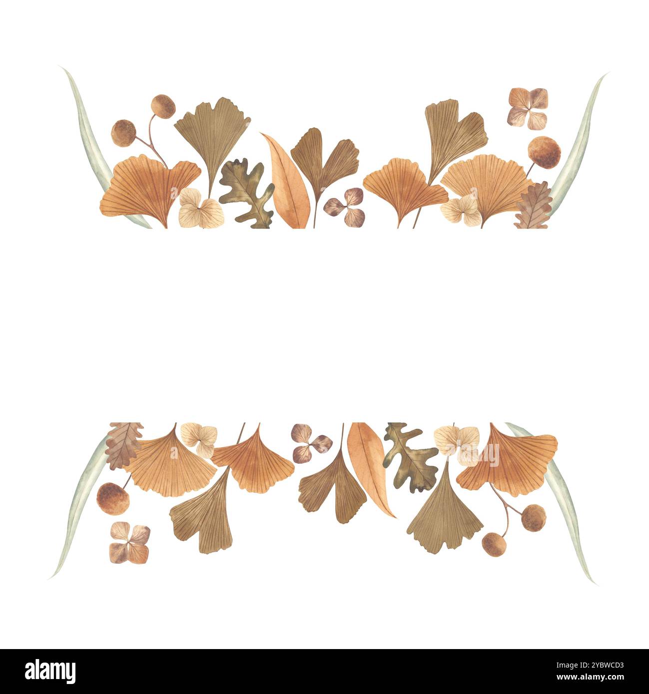 November flowers Cut Out Stock Images & Pictures - Alamy