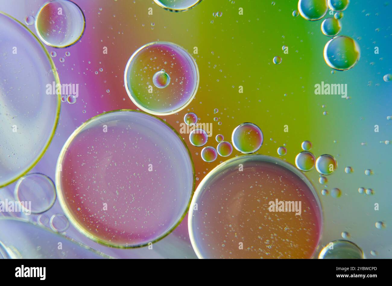 Extreme close up of oil bubbles on water surface with multicolored ...