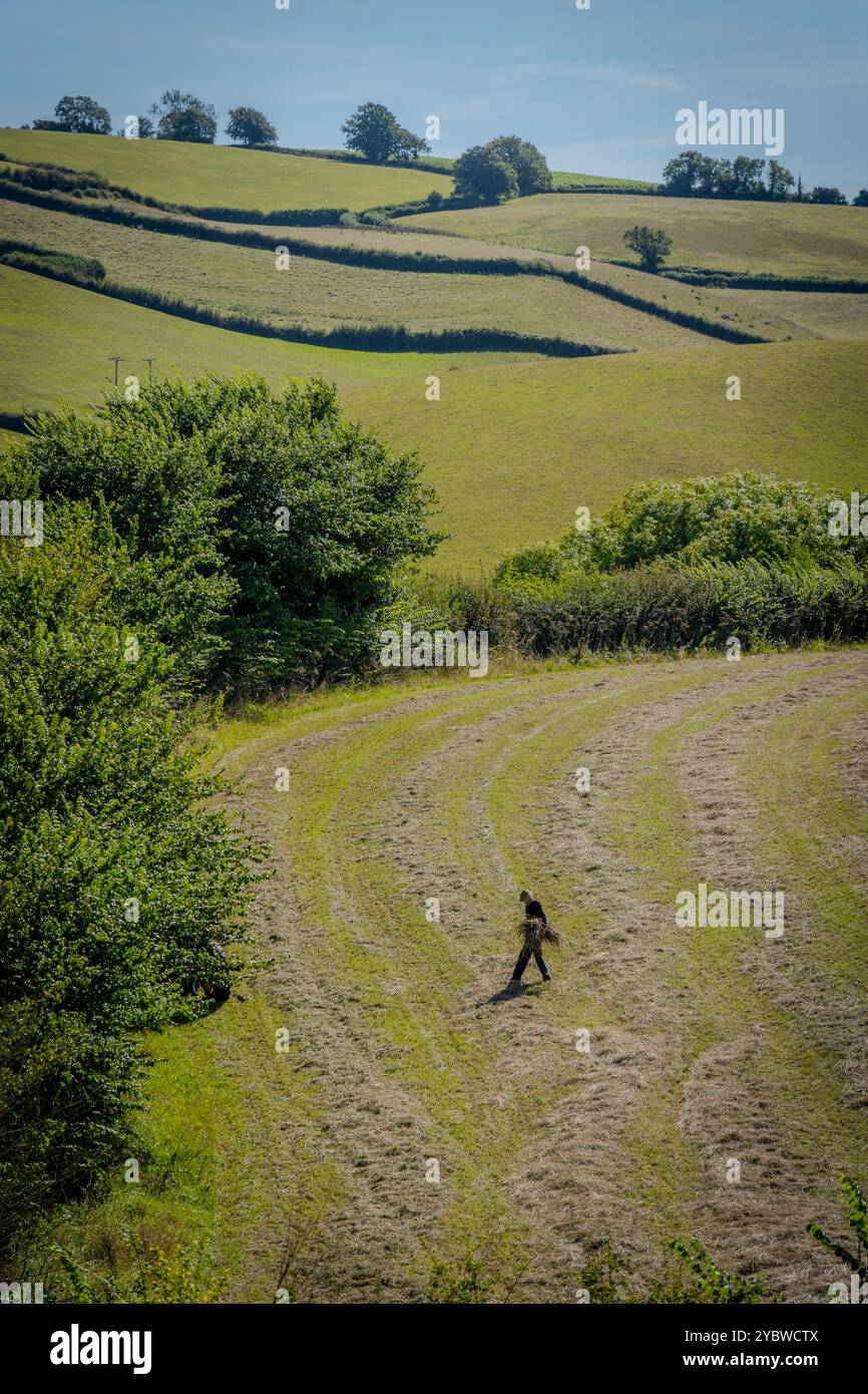 Fields freshly cut grass hi-res stock photography and images - Alamy