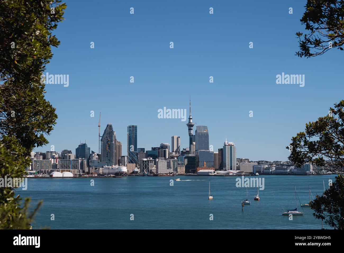 View onto skyline of Auckland as seen from Devonport on a summer day ...