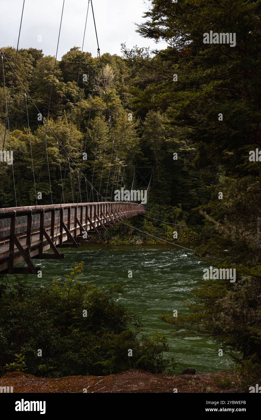 Large suspension bridge on the Rainbow Reach track near Te Anau within ...