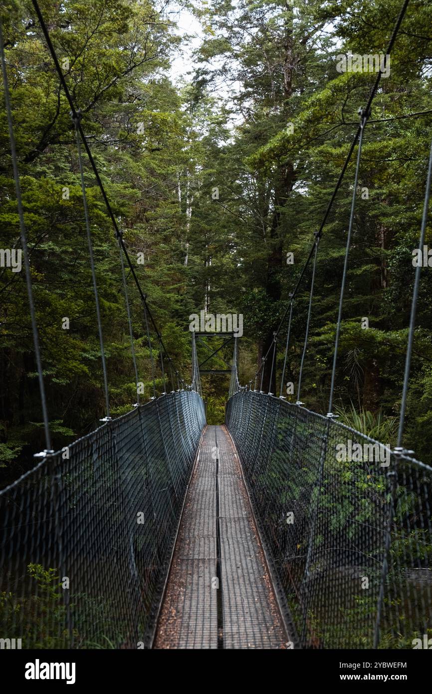 Small suspension bridge on the Rainbow Reach track near Te Anau within ...