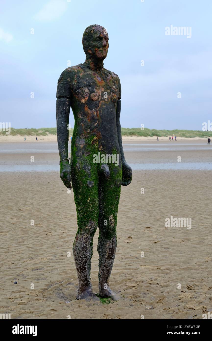 Antony gormleys installation at the shoreline hi-res stock photography ...