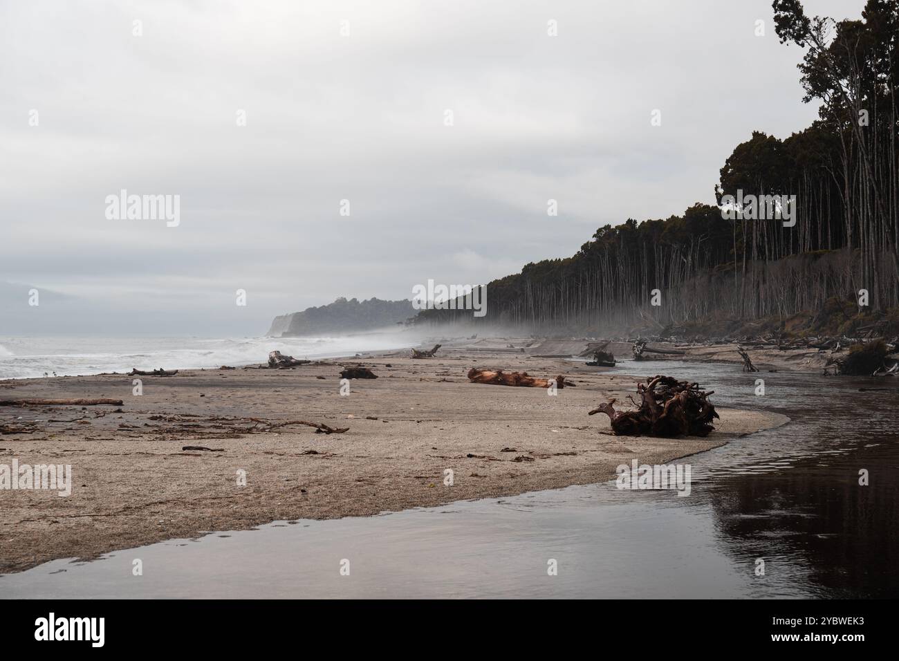 Mysterious Maori Beach near Bruce Bay with low hanging fog on the beach ...