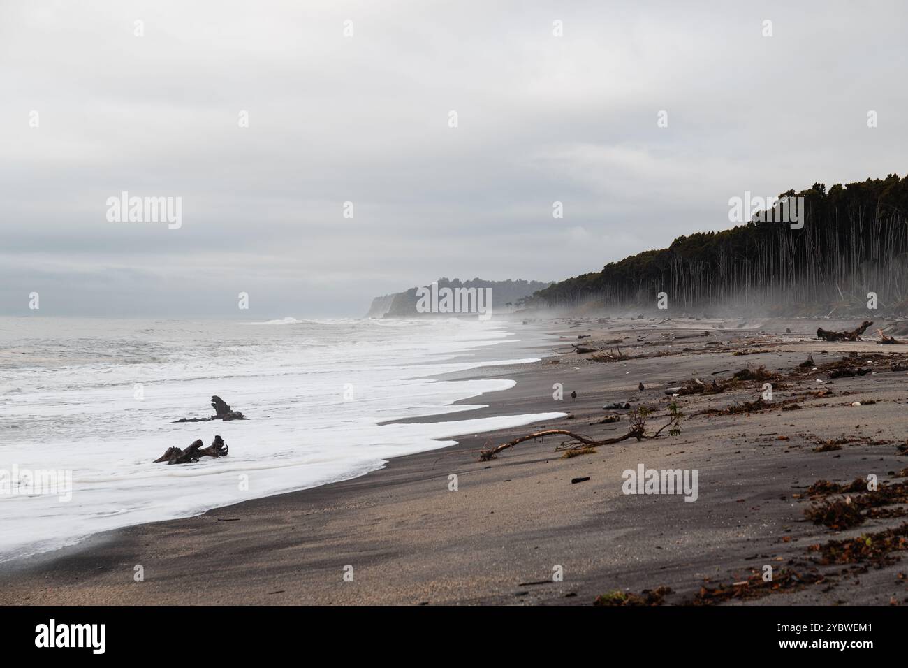 Mysterious Maori Beach near Bruce Bay with low hanging fog on the beach ...