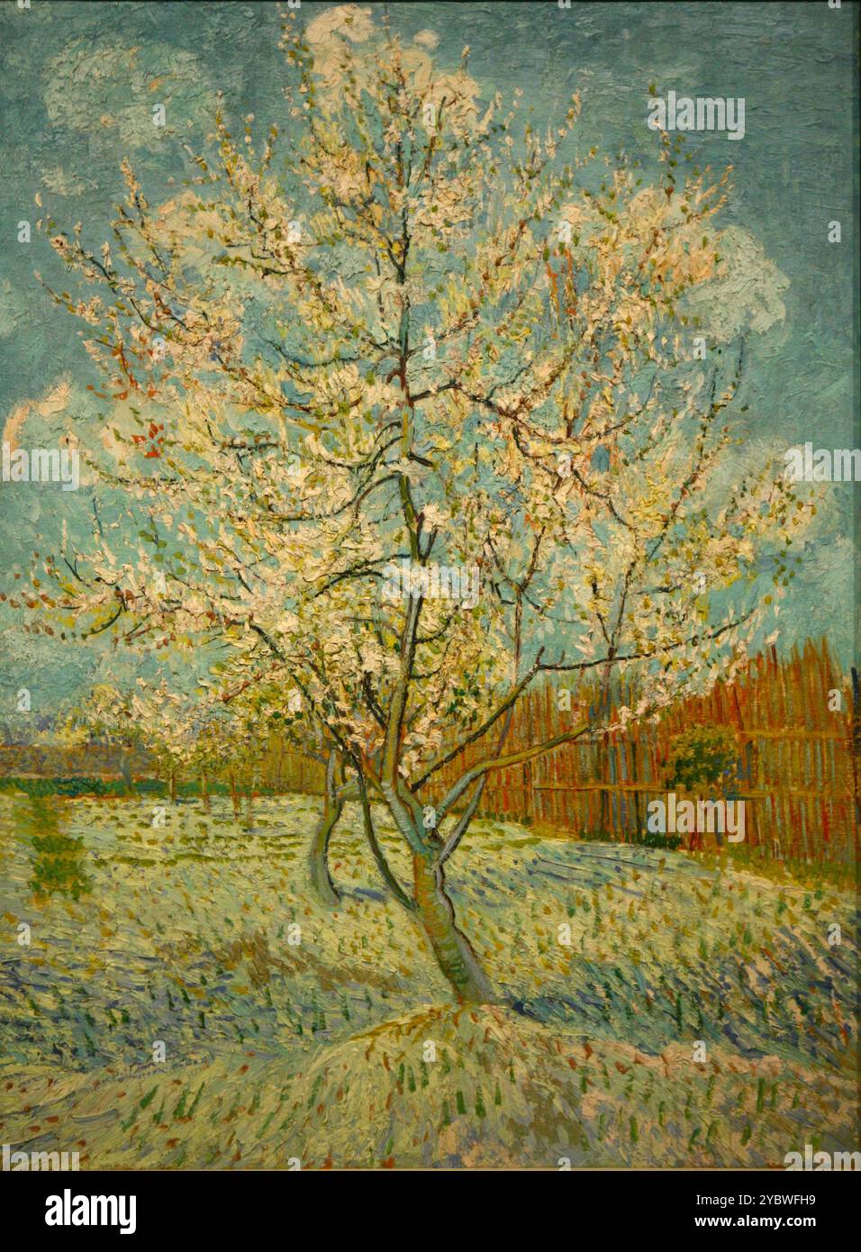 The pink peach tree 1888 Vincent van Gogh Stock Photo - Alamy