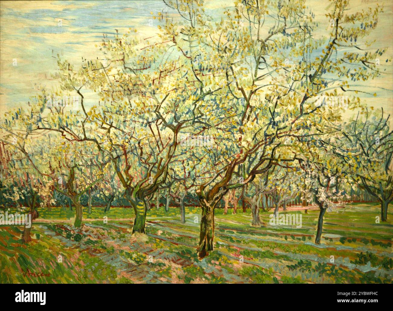 The white Orchard 1888 Vincent van Gogh Stock Photo - Alamy