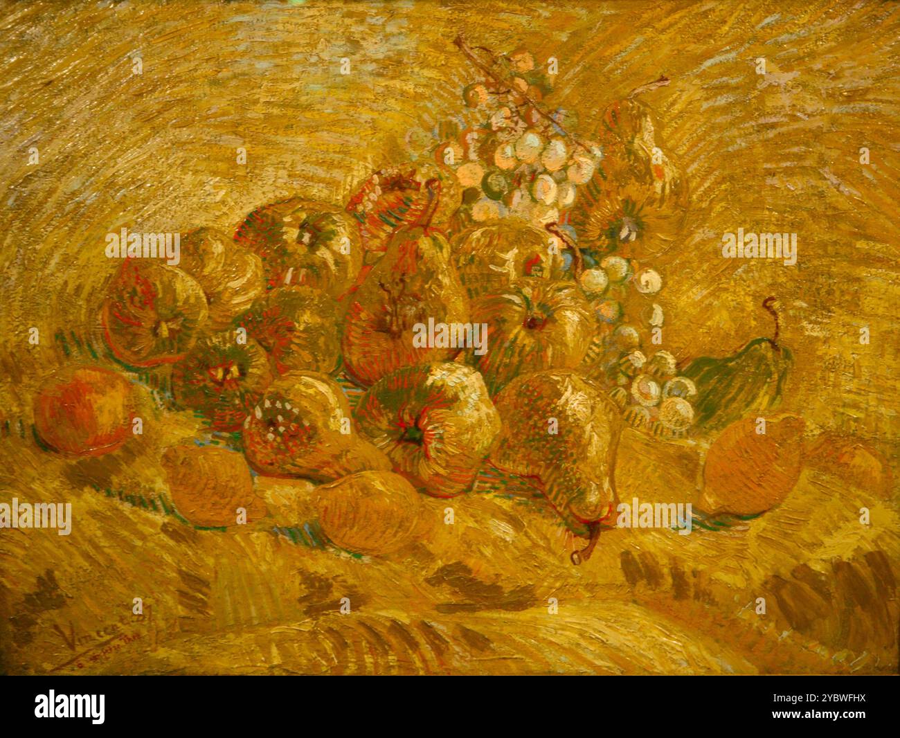 Quinces lemons pears and grapes 1887 Vincent van Gogh Stock Photo - Alamy