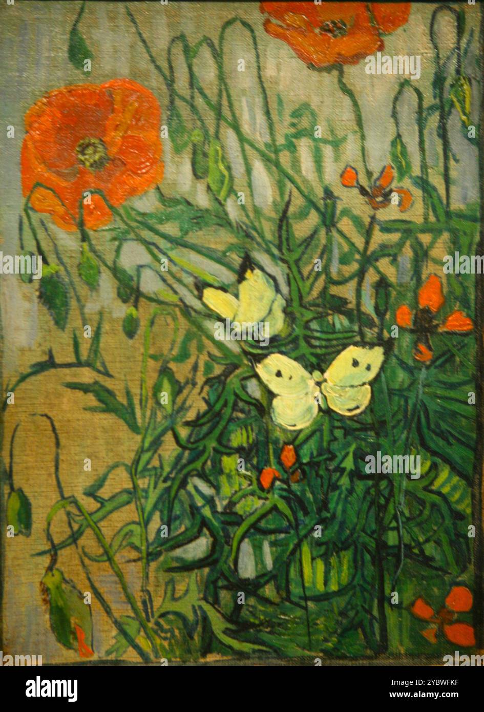 Butterflies and poppies 1890 Vincent van Gogh Stock Photo - Alamy