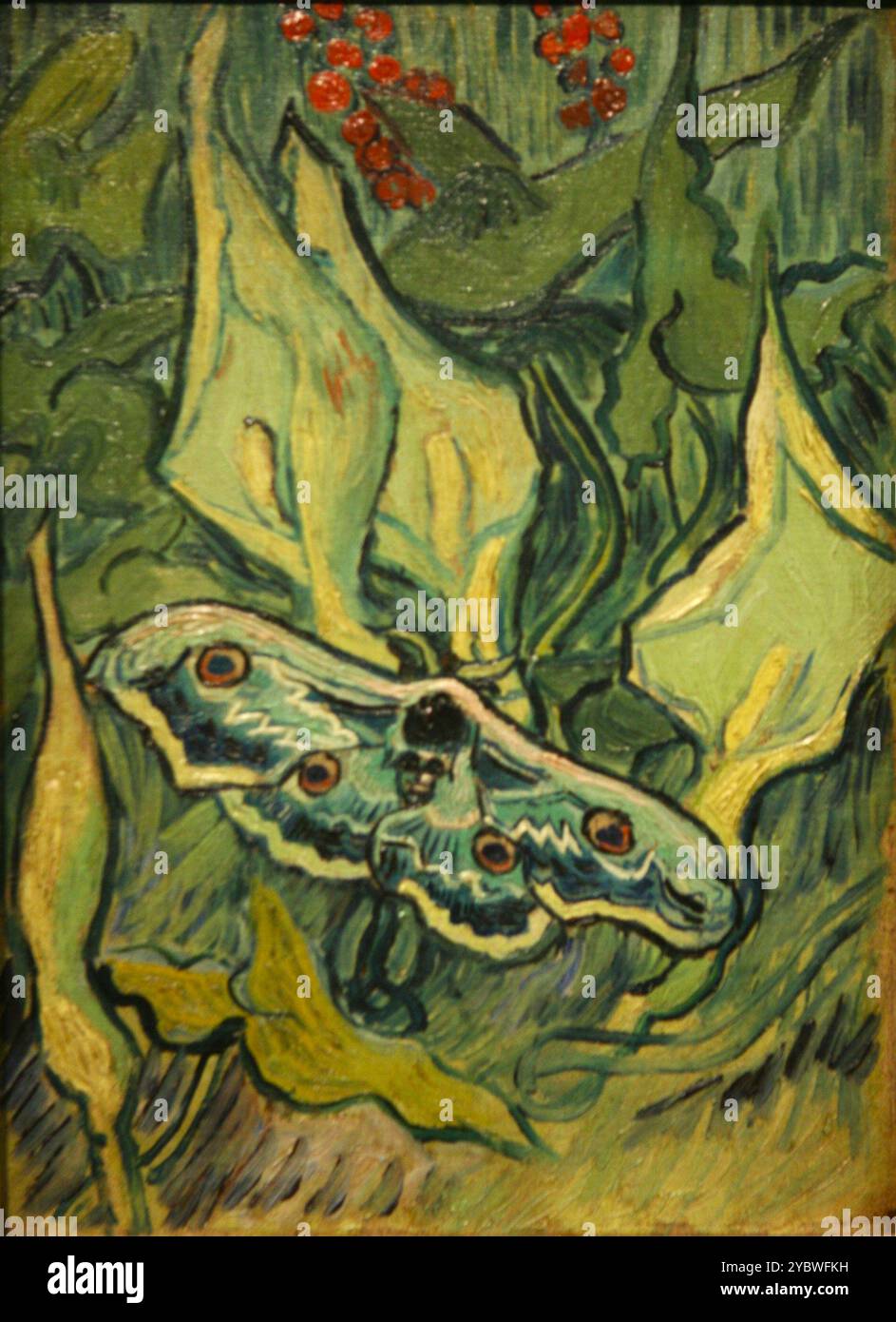 Giant peacock moth 1889 Vincent van Gogh Stock Photo - Alamy