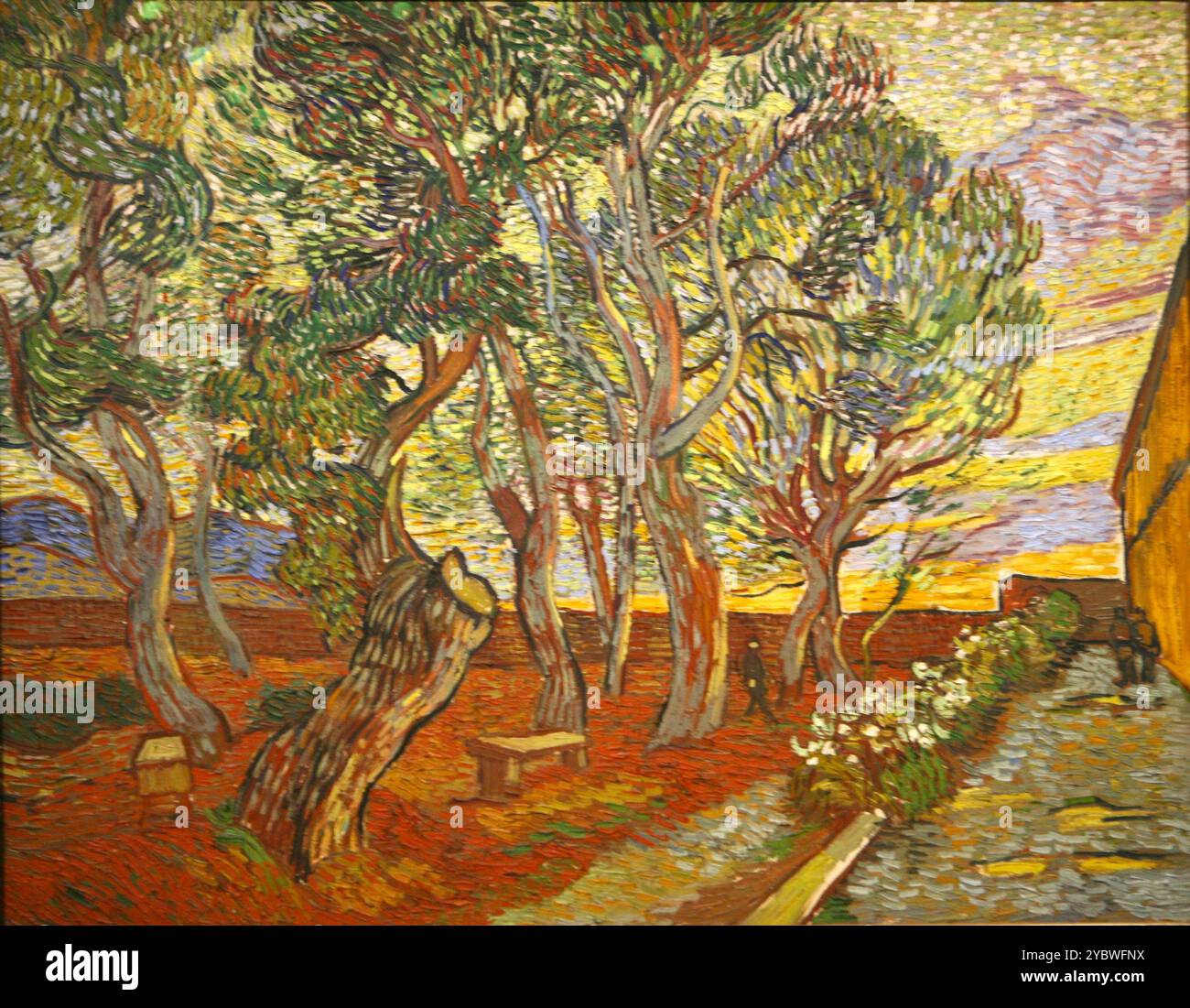 The garden of the asylum 1889 Vincent van Gogh Stock Photo - Alamy