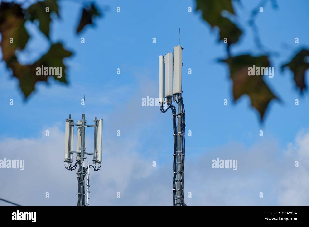 Superroaming hi-res stock photography and images - Alamy