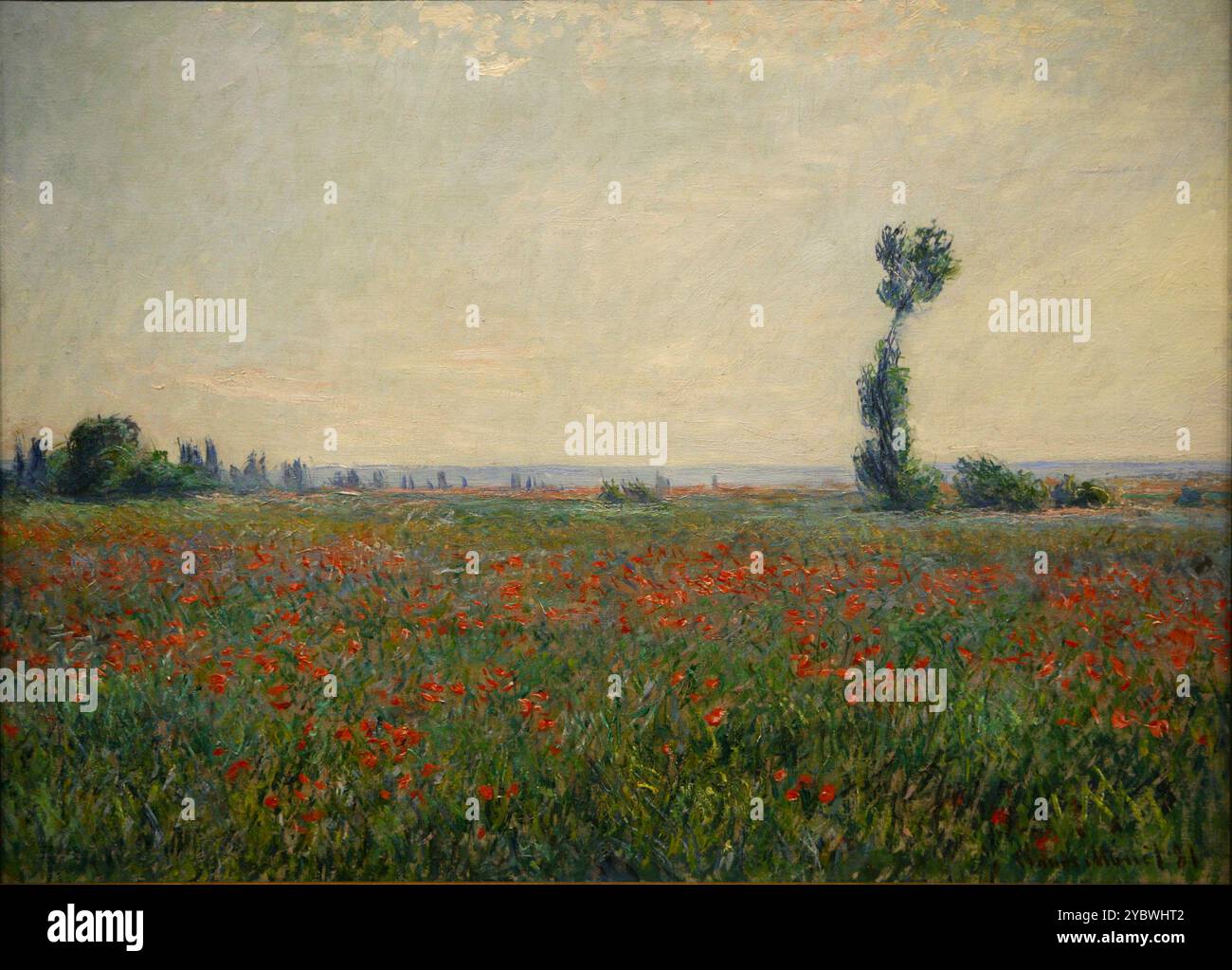 Poppy field 1881 Claude Monet Stock Photo - Alamy