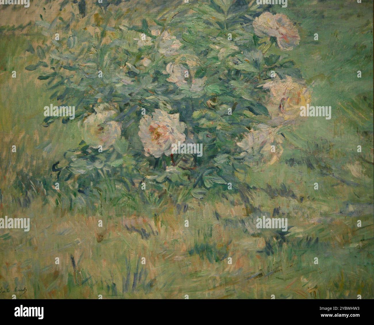 Peonies 1885- 1887 Berthe Morisot Stock Photo - Alamy