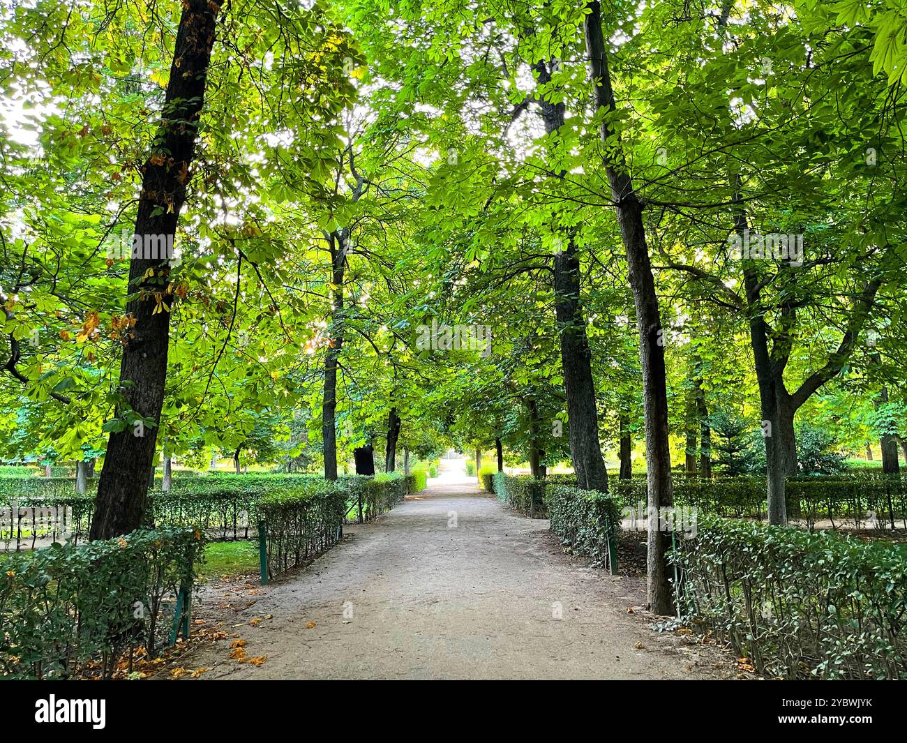 Jardines de el retiro hi-res stock photography and images - Alamy