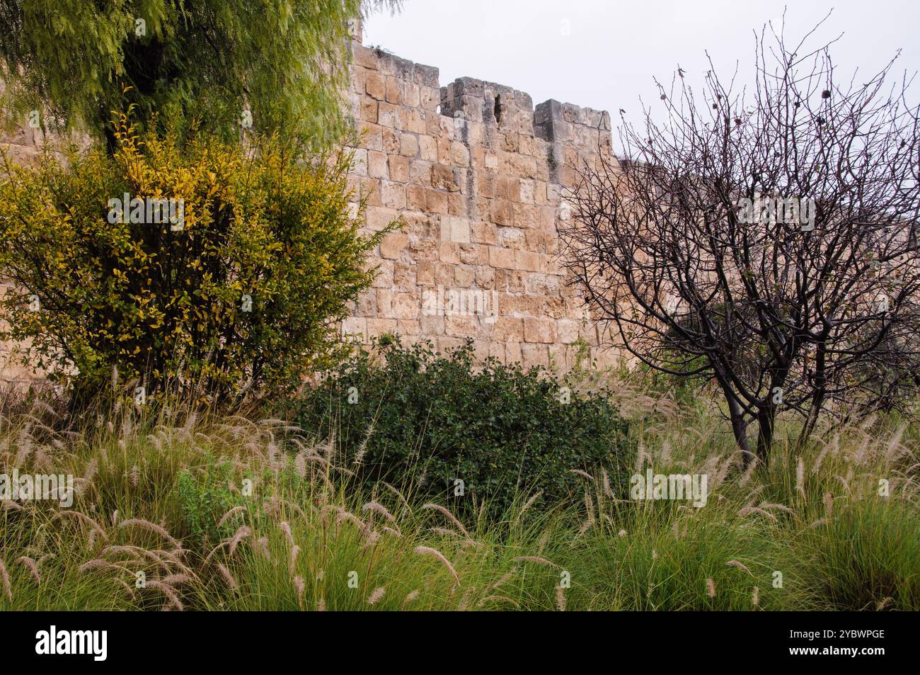 A section of the ancient stone ramparts and walls of the Old City of ...