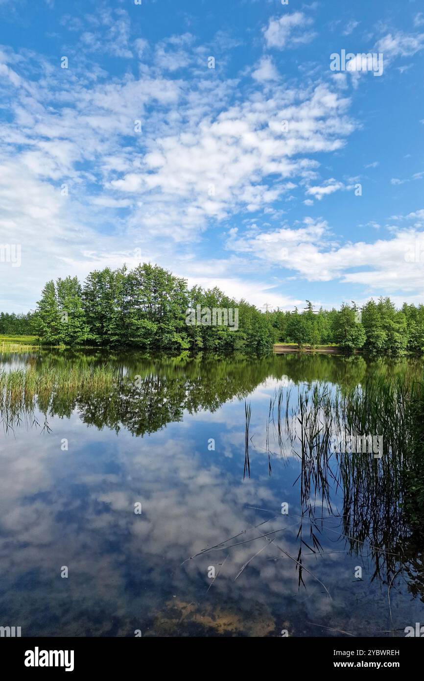 Small lake in Dutch nature reserve Kuinderbos reflecting blue sky with ...