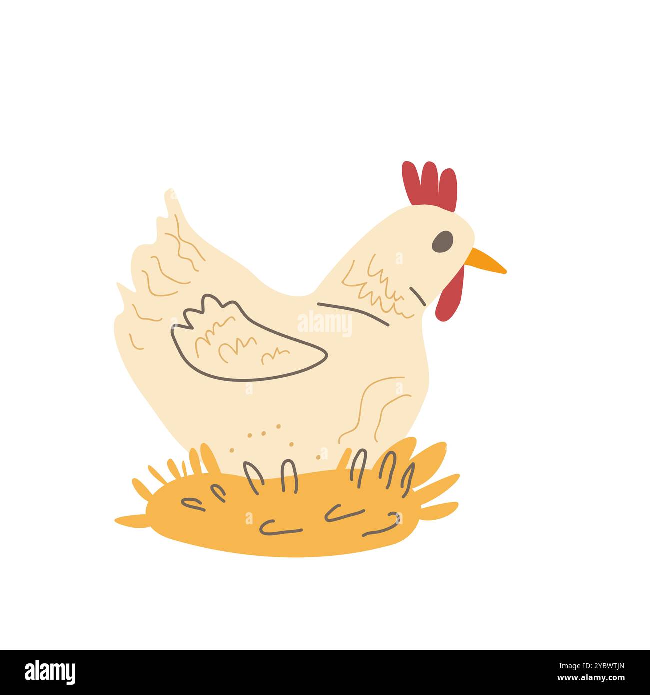 Hen hatching eggs in the nest isolated on white background. Chicken ...