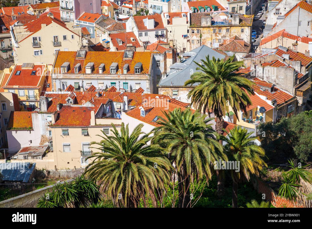 Explore the stunning architecture of Lisbon's Alfama district from the ...