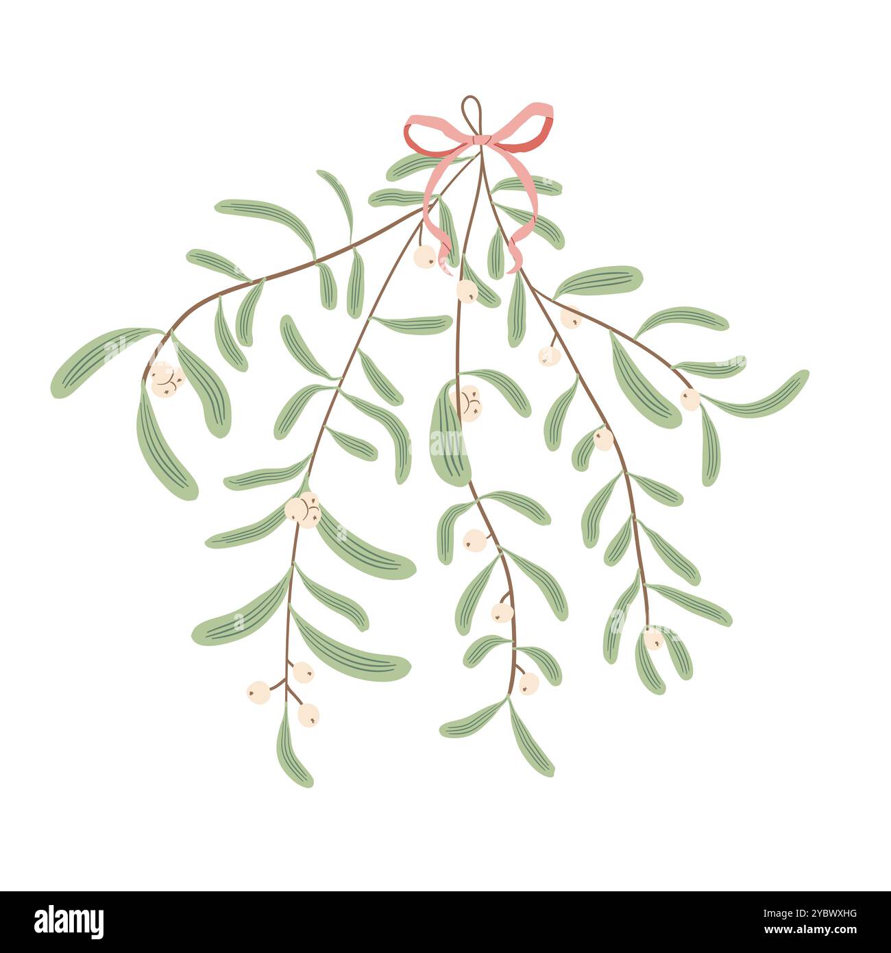 Mistletoe isolated on white background. Christmas decoration. Vector ...
