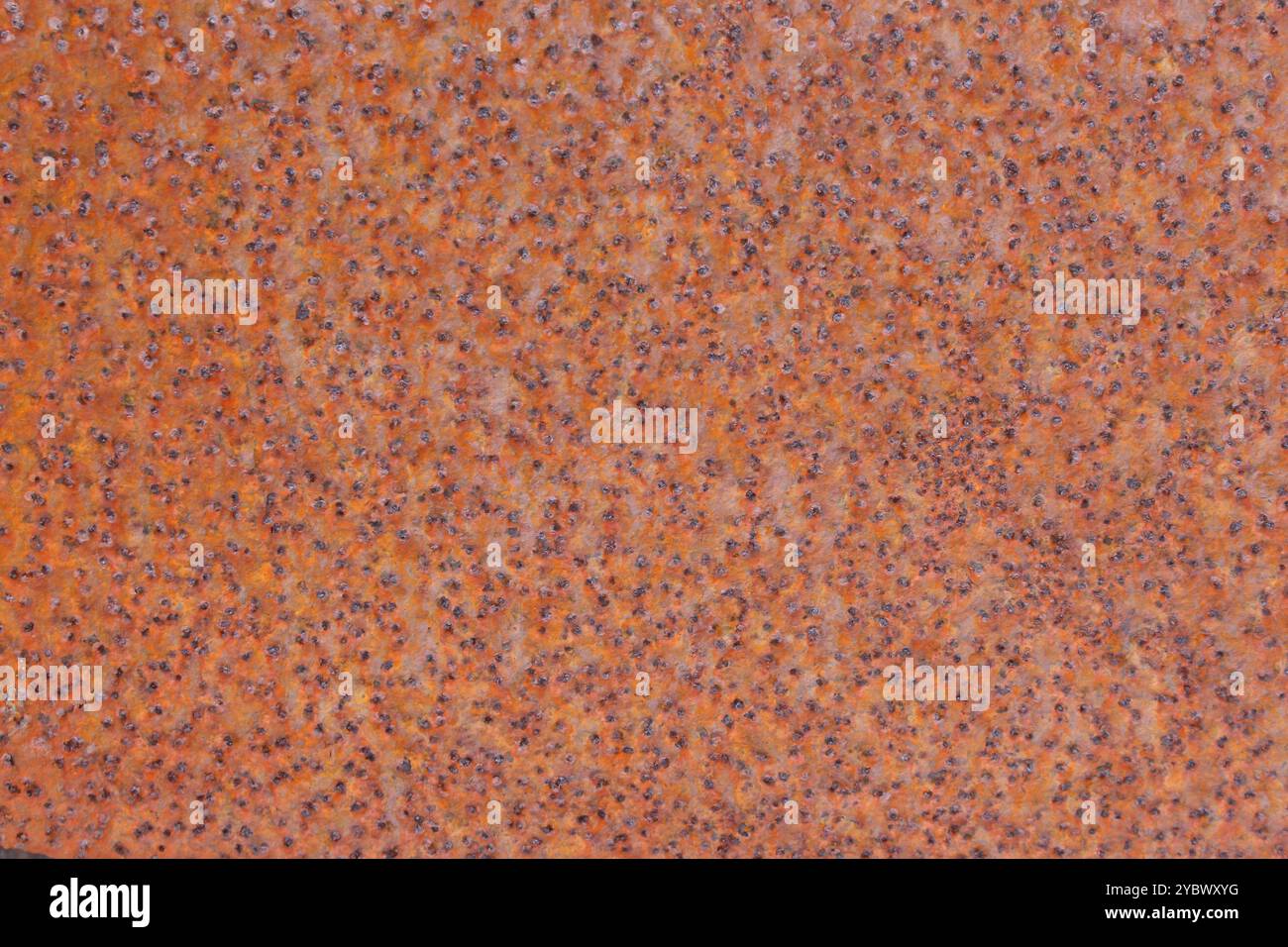 A close up photograph of rusted metal sheeting, background texture ...