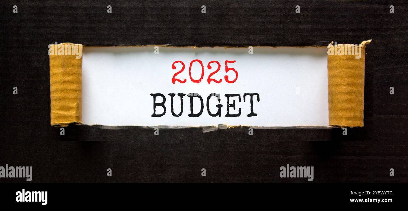 Planning 2025 budget new year symbol. Concept words 2025 Budget on ...