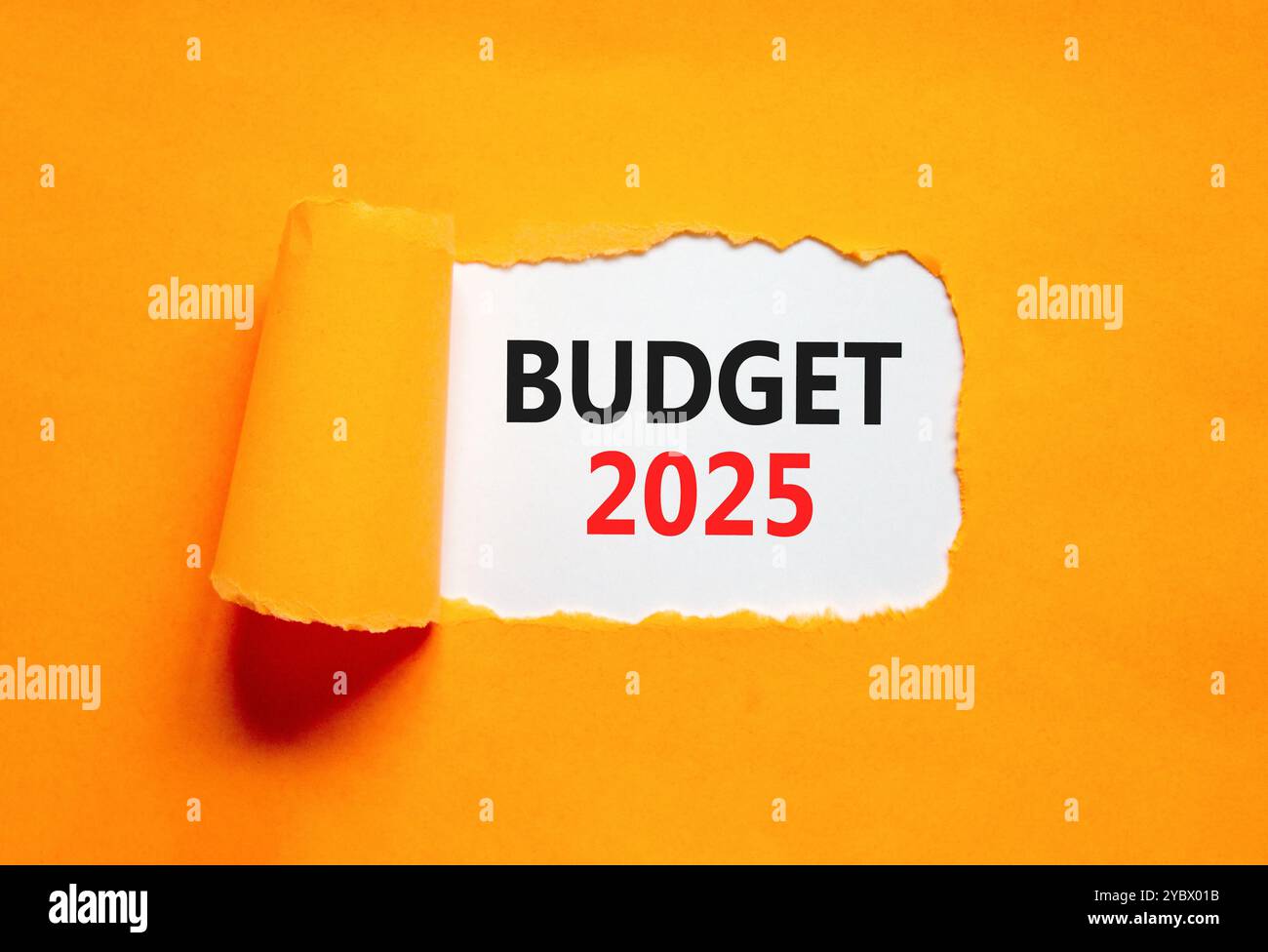 Planning budget 2025 new year symbol. Concept words Budget 2025 on ...
