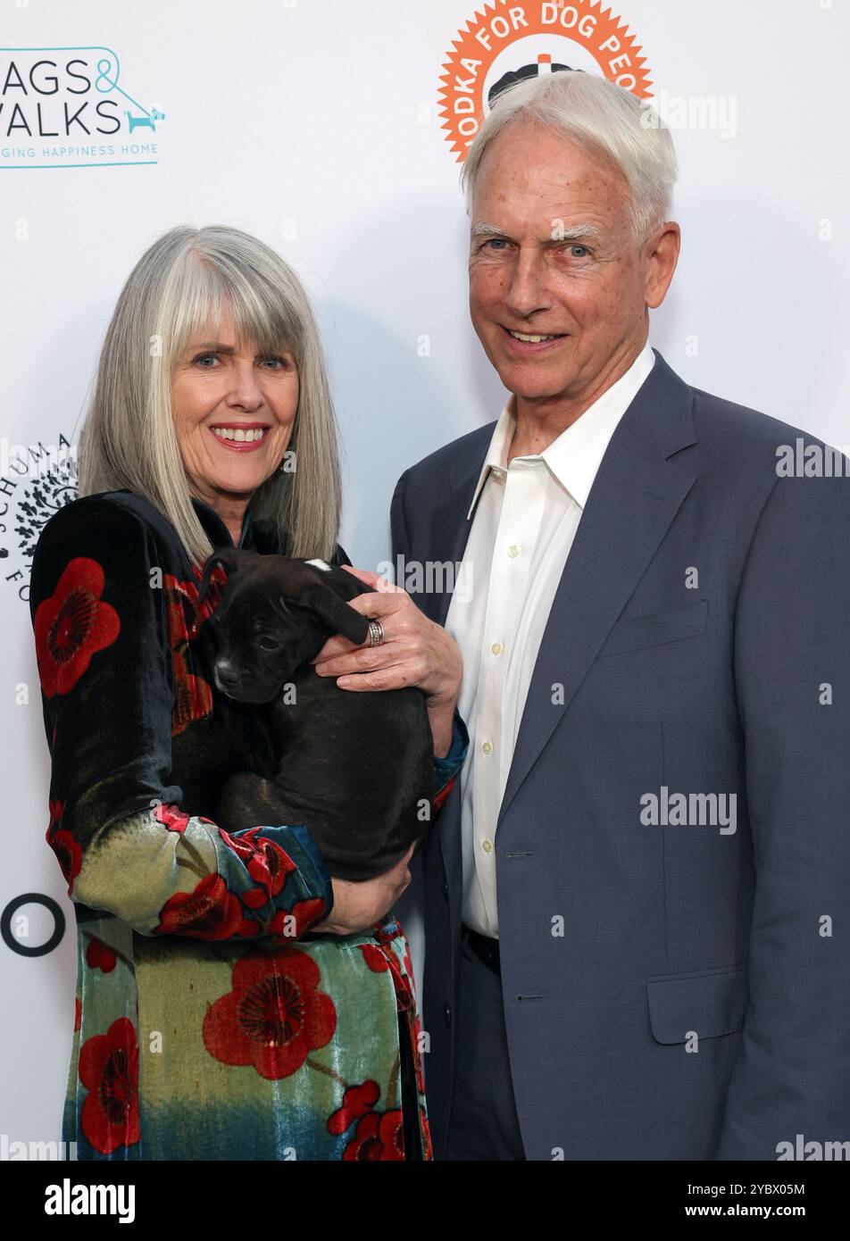 LOS ANGELES, CA - OCTOBER 19: Mark Harmon, Pam Dawber at the Wags ...