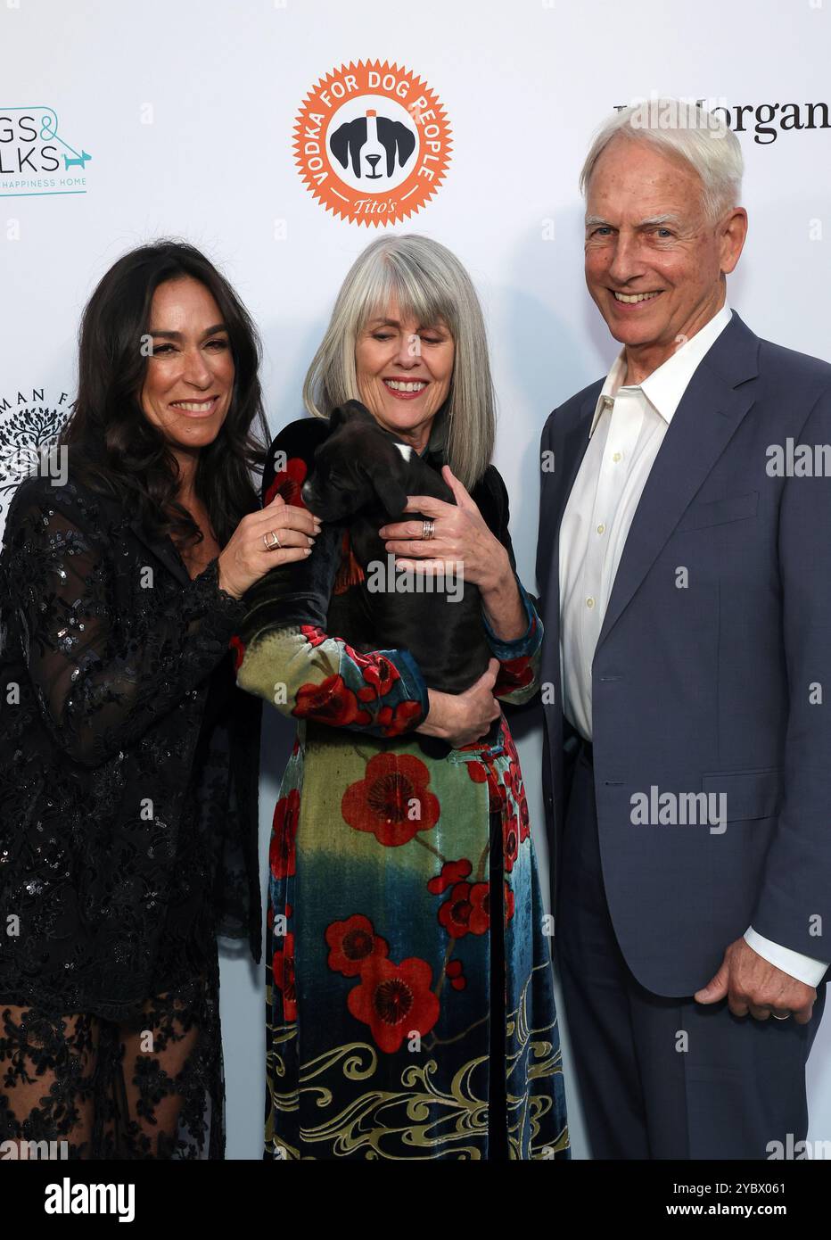 LOS ANGELES, CA - OCTOBER 19: Lesley Brog, Mark Harmon, Pam Dawber at ...