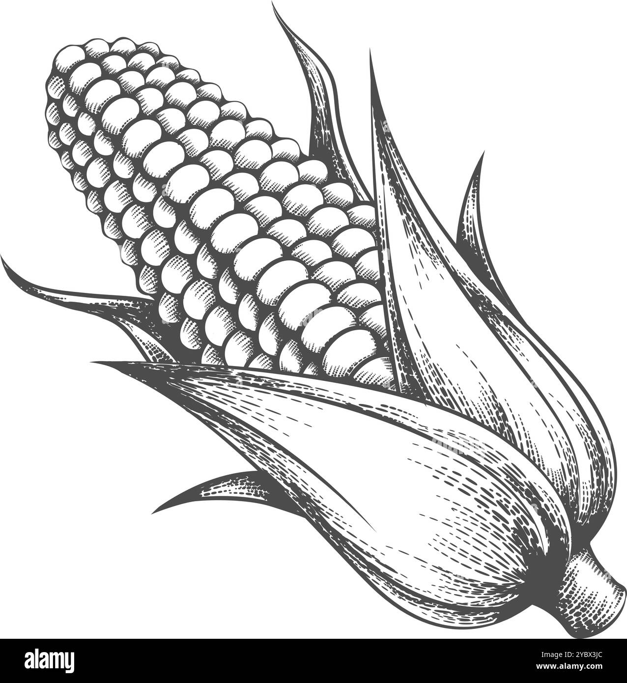 Etching outline hi-res stock photography and images - Alamy