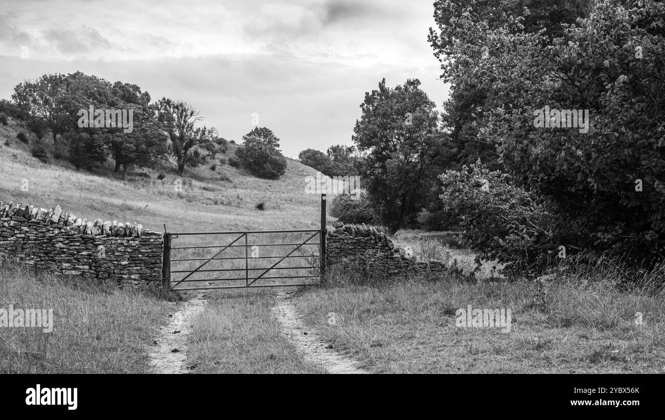 Southern Cotswold Countryside in Monochrome, Wiltshire, UK Stock Photo ...