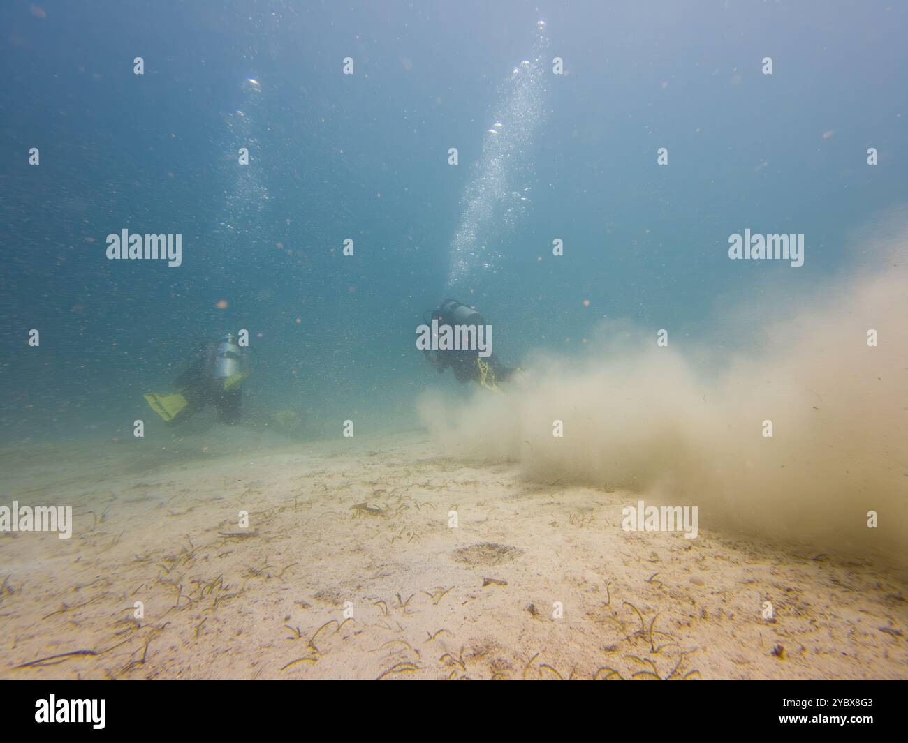 In good trim hi-res stock photography and images - Alamy