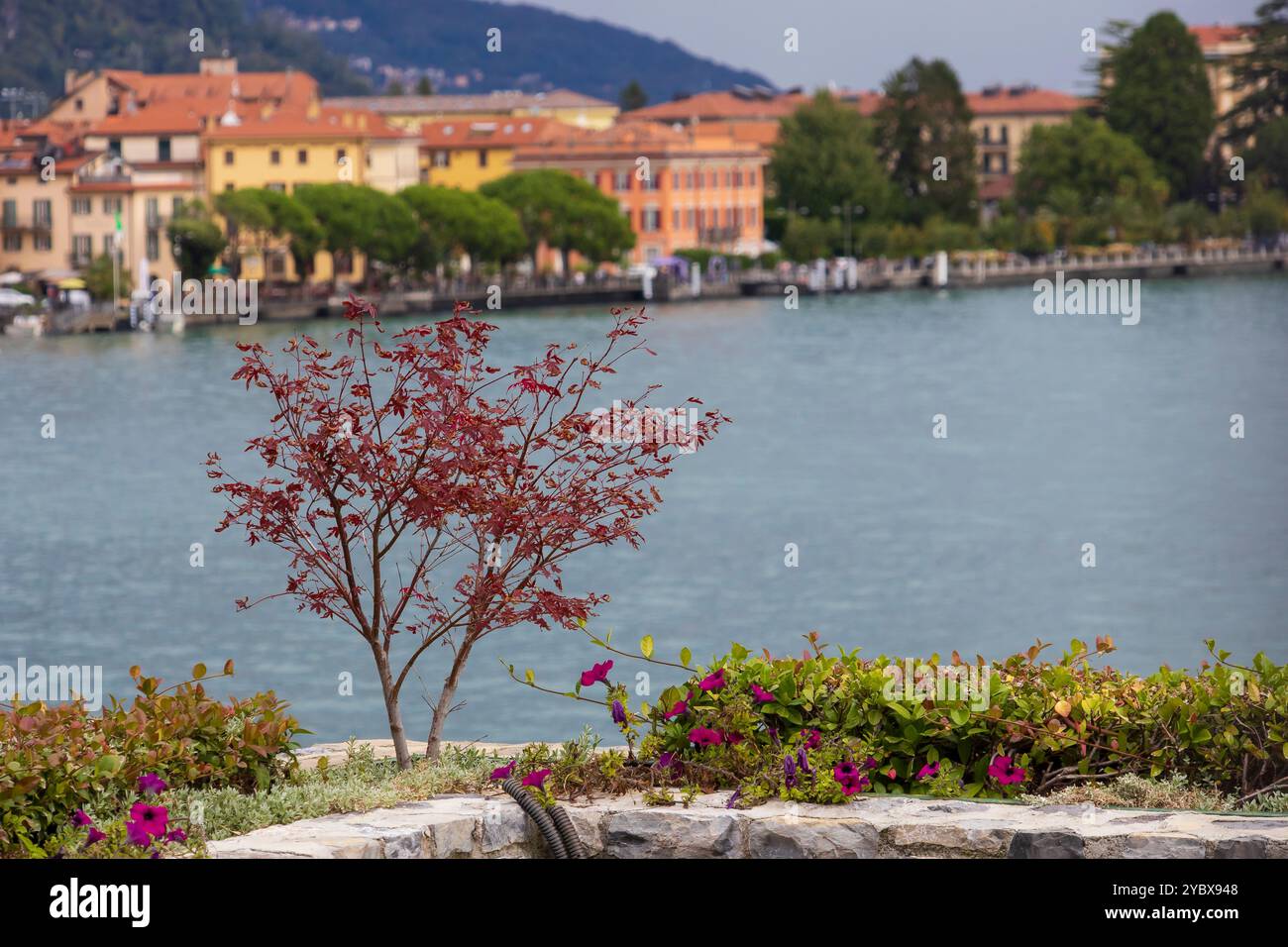 Lake Como landscape in full daylight Stock Photo - Alamy