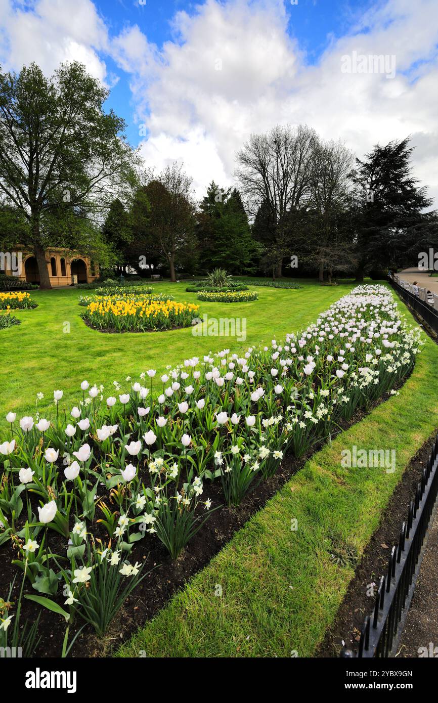 Spring flower displays in Jephson Gardens, Leamington Spa town ...