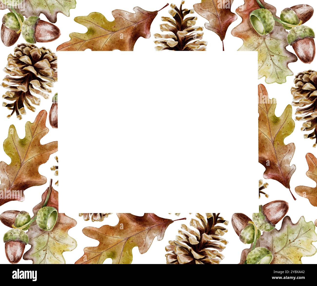 Acorn frame hi-res stock photography and images - Alamy