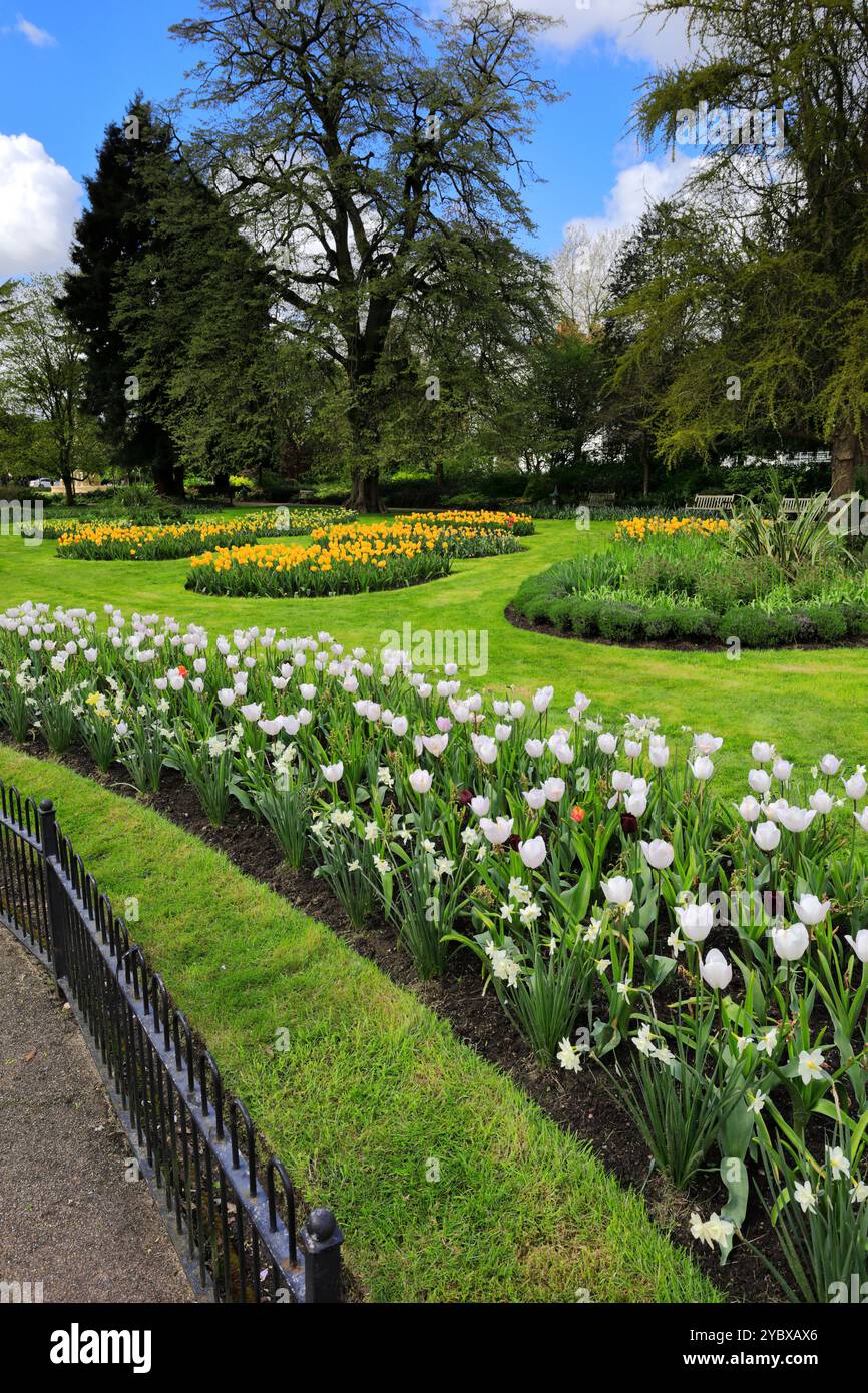 Spring flower displays in Jephson Gardens, Leamington Spa town ...