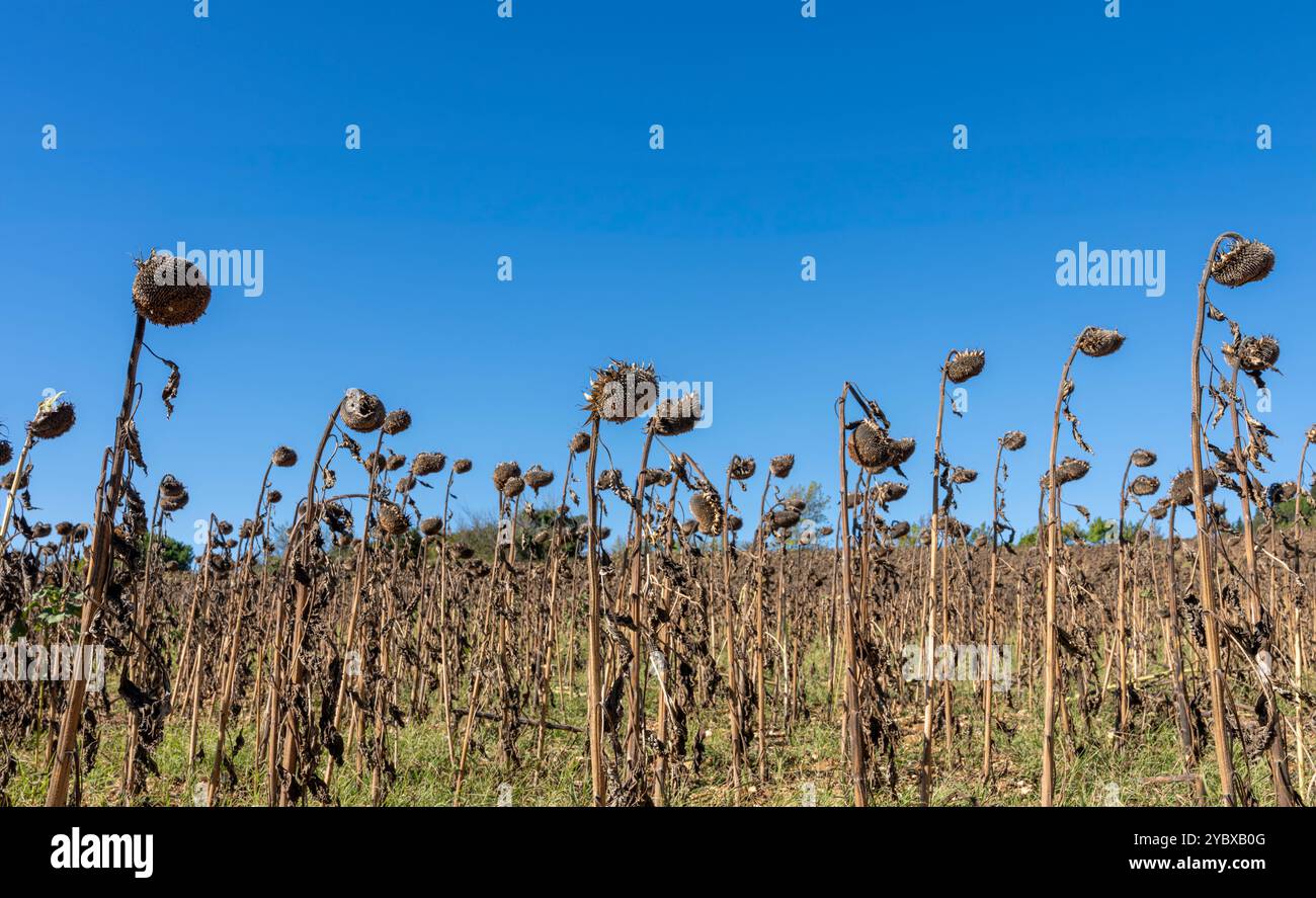 Department for farming hi-res stock photography and images - Alamy