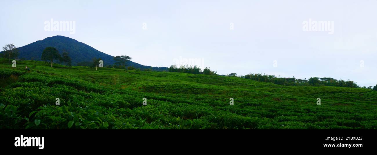Mount dempo hi-res stock photography and images - Alamy