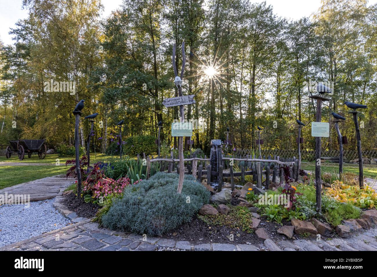 Schwarzkollm, Germany. 20th Oct, 2024. Replicas of ravens sit on 12 ...