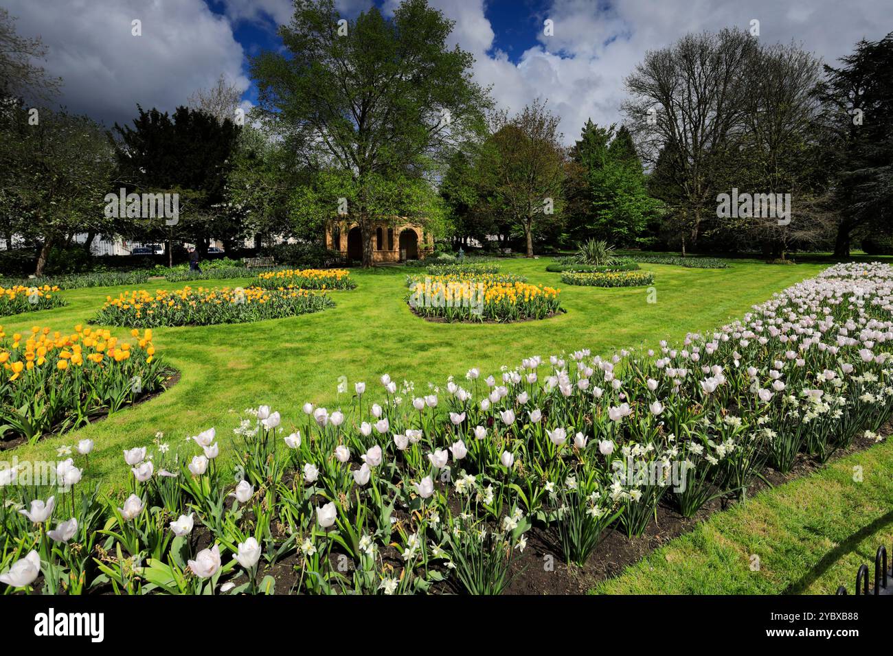 Spring flower displays in Jephson Gardens, Leamington Spa town ...